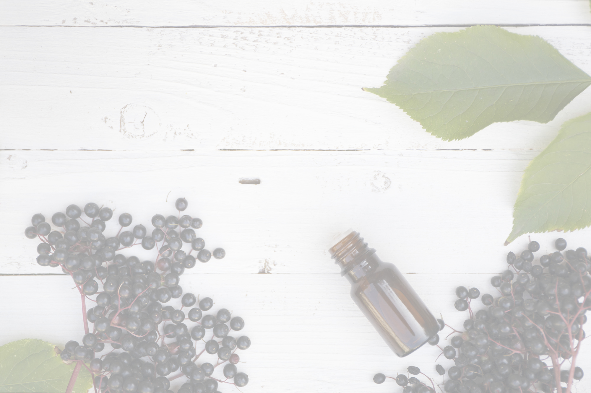 PhytoCide Elderberry OS - Active Micro Technologies